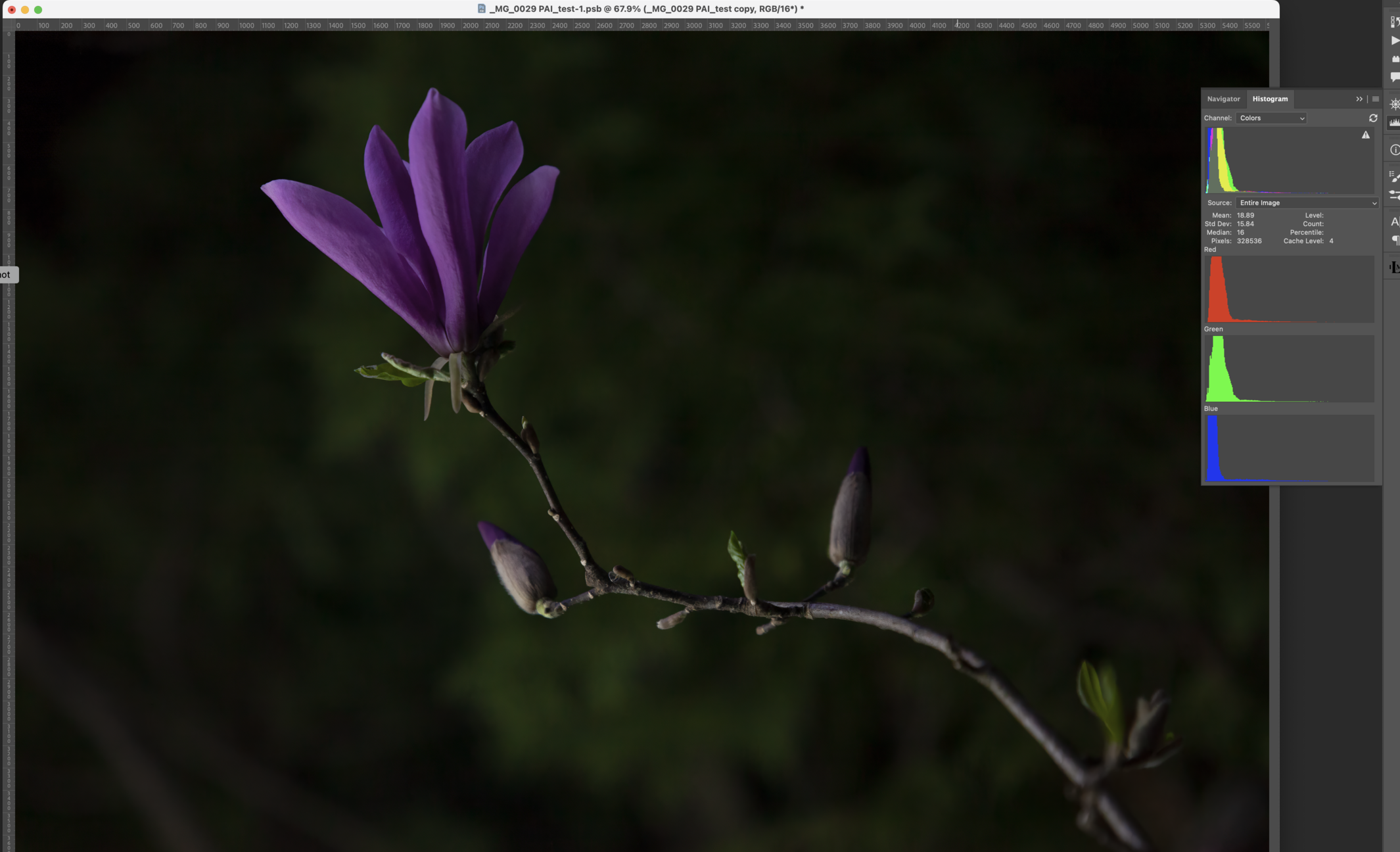 Photo AI Changes Color and Geometry of CR2 Raw File when output to DNG, TIFF - Bugs and Issues ...