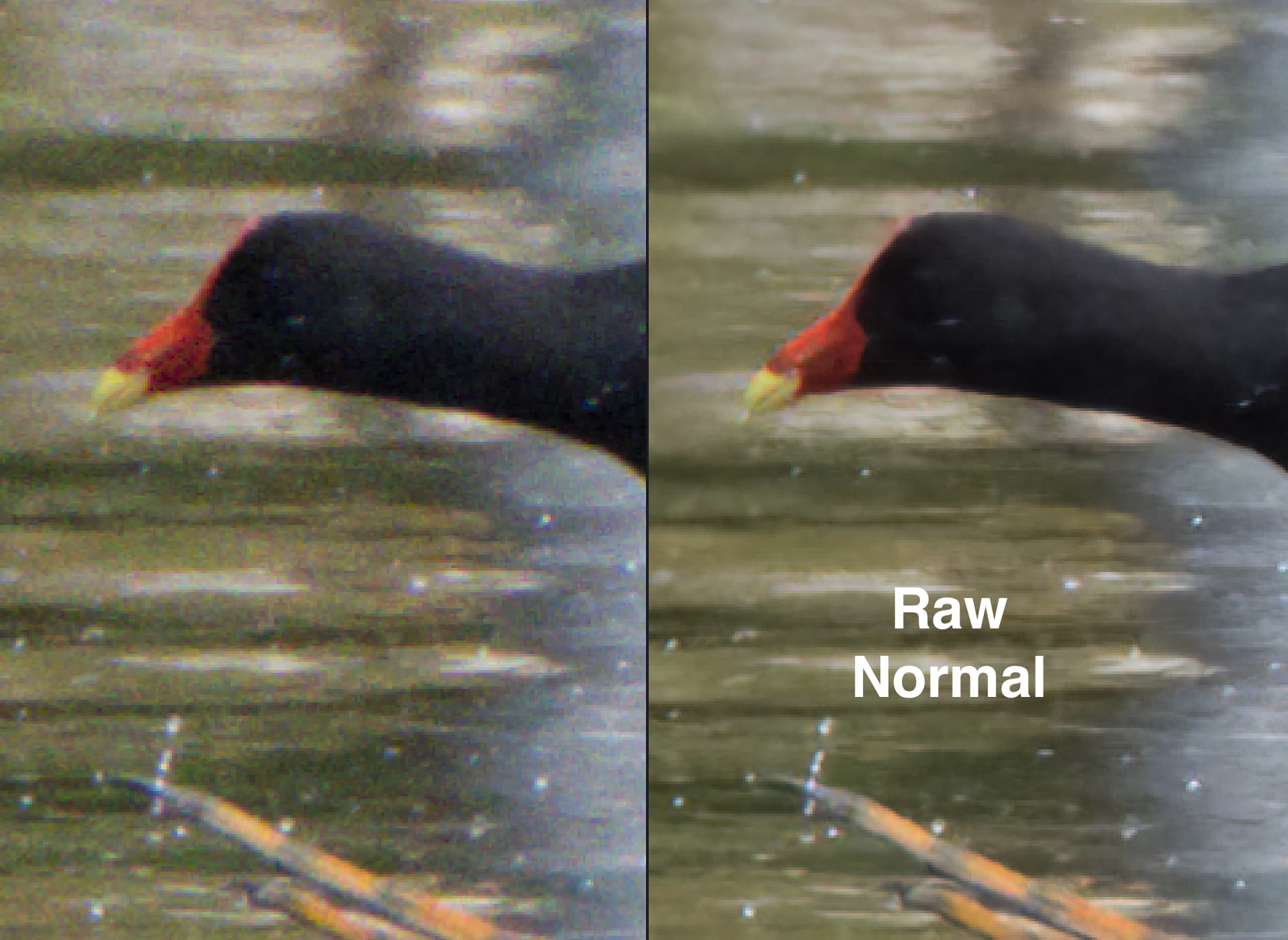 Discussion | RAW Normal & Strong v2 and Sharpen Standard v2 Models ...