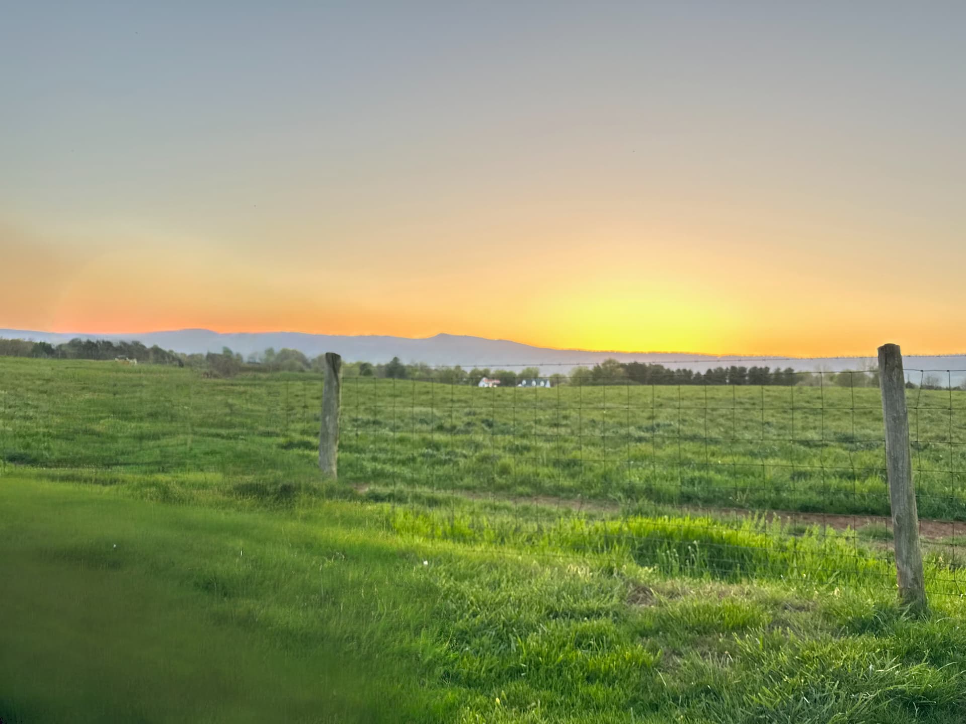 Remove tool trial - General - Topaz Community