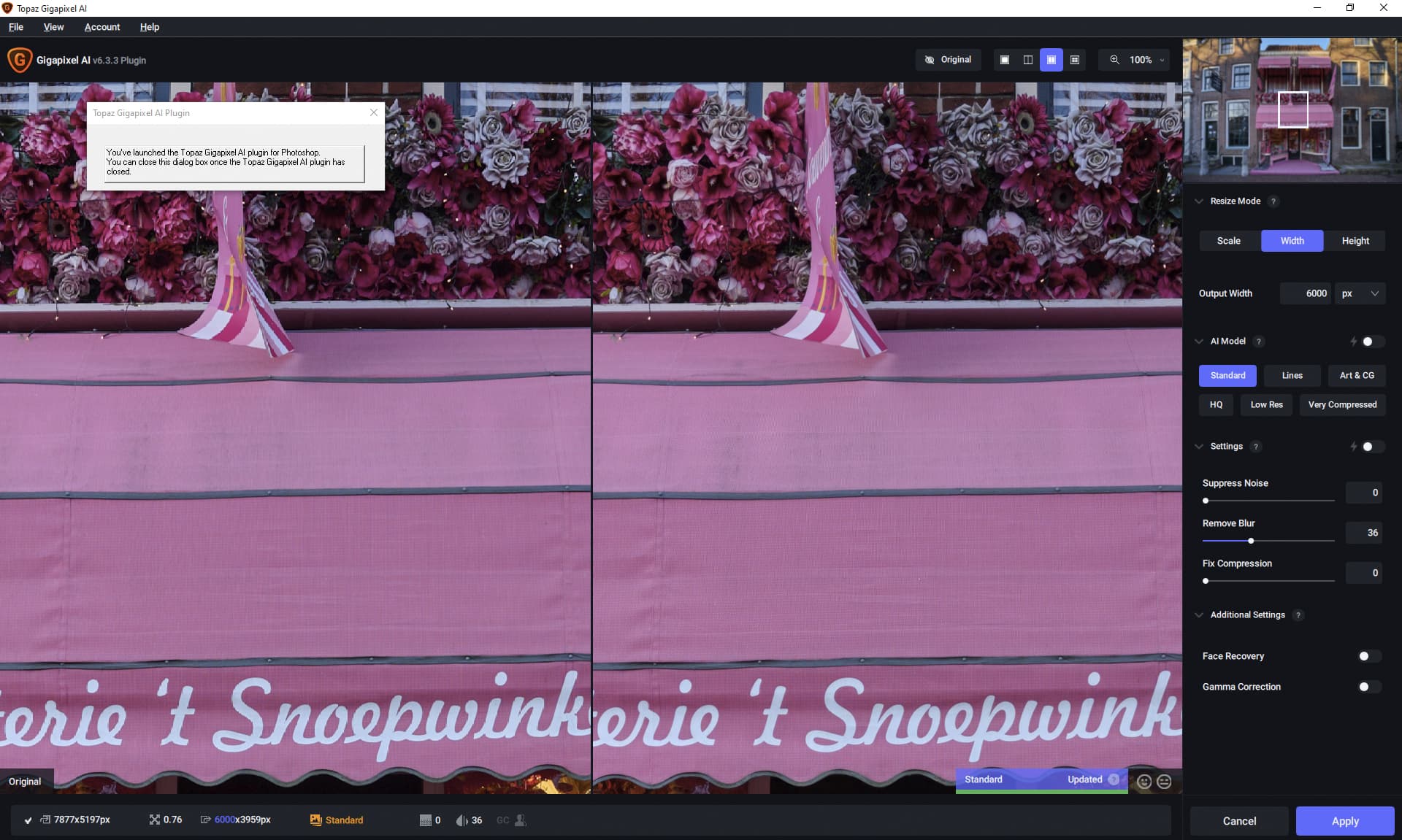 Gigapixel v6.3.3 - #121 by Julysha - Releases - Topaz Community