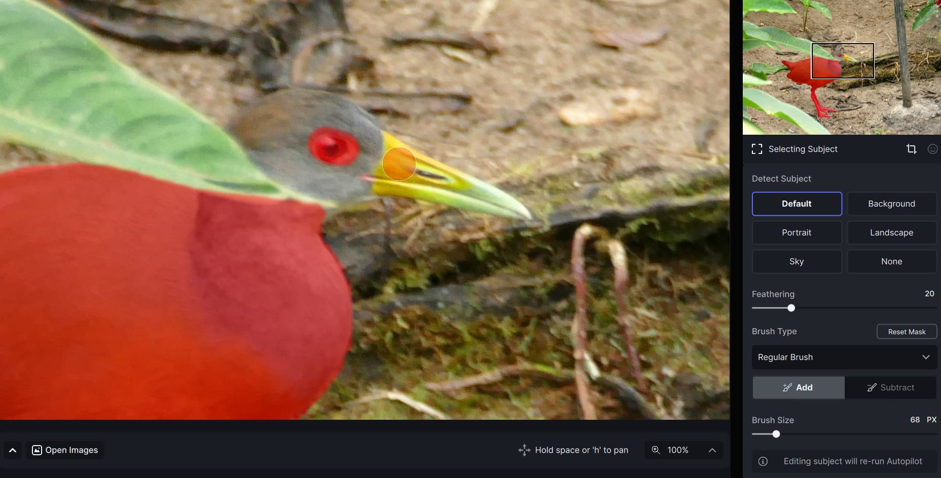 Editing Subject - General - Topaz Community