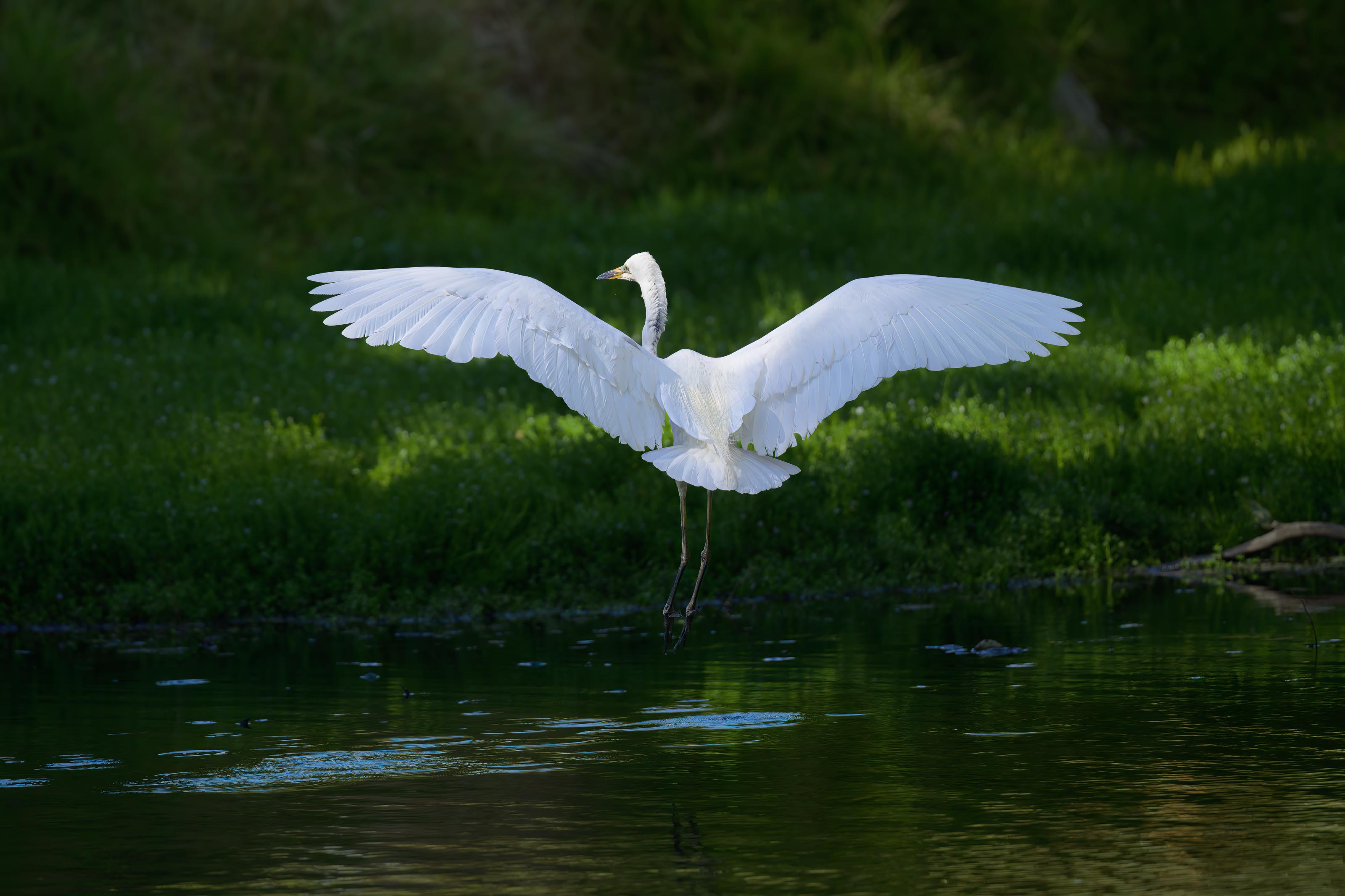 Topaz Photo AI v1.2.2 - Releases - Topaz Community