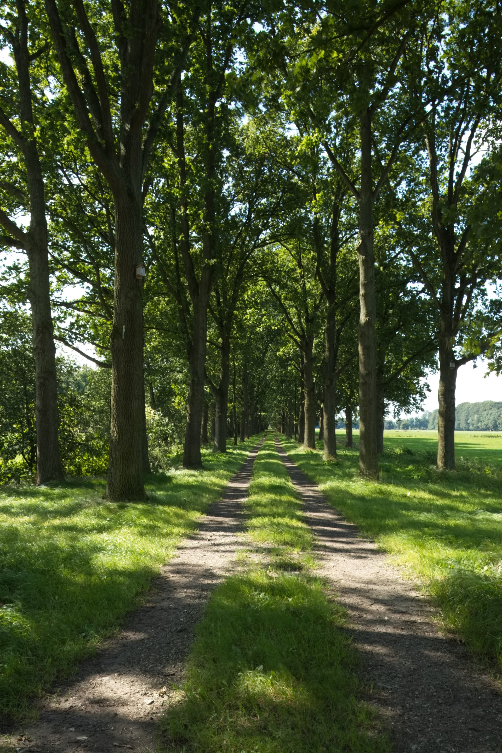 Img processed in remove saved up site down and mirror - Bugs and Issues ...