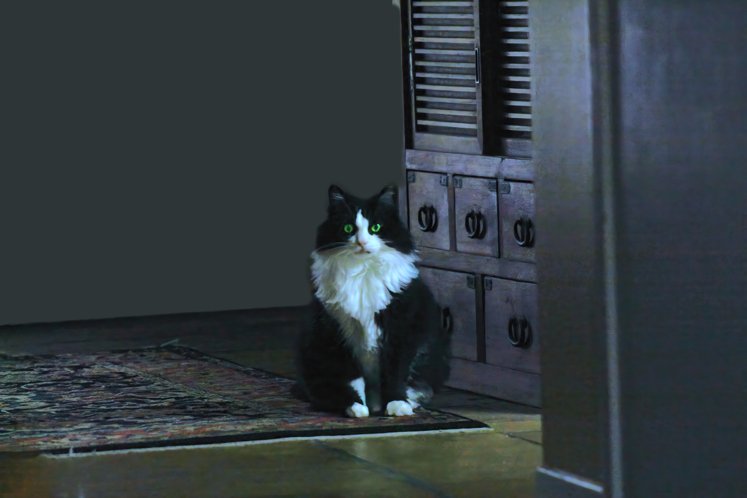 Topaz Cat Challenge From New Mexico - Photos for Play - Topaz Community