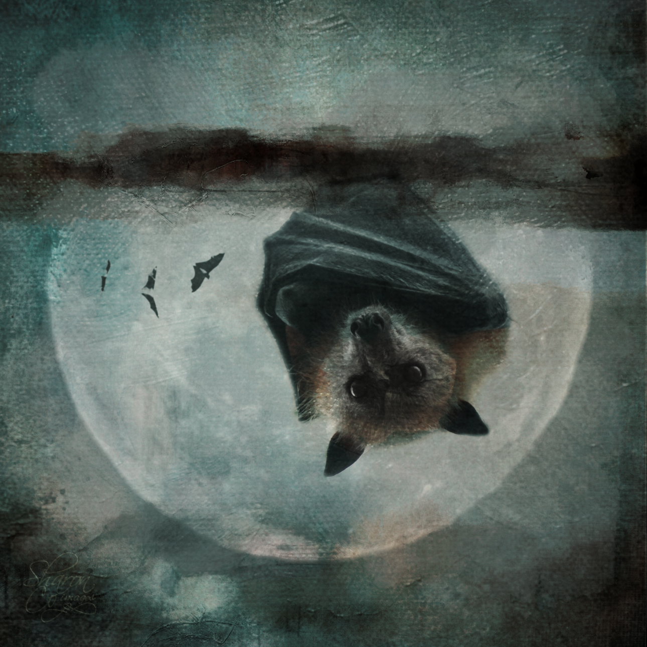 Going batty - People and Animals - Topaz Community