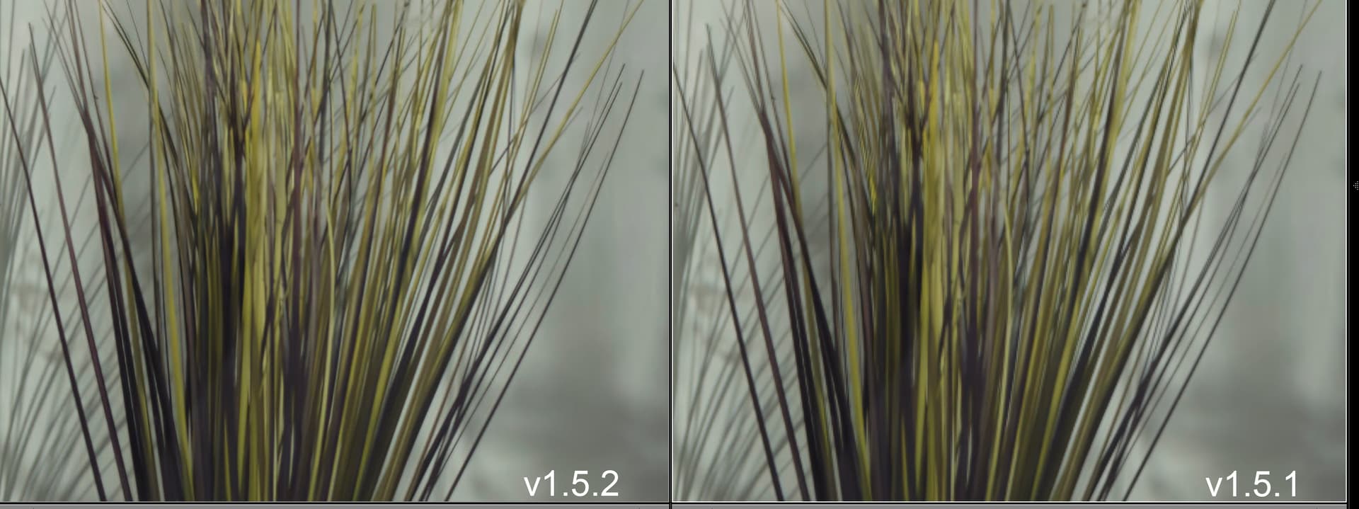 Topaz Photo AI v1.5.2 - Releases - Topaz Community