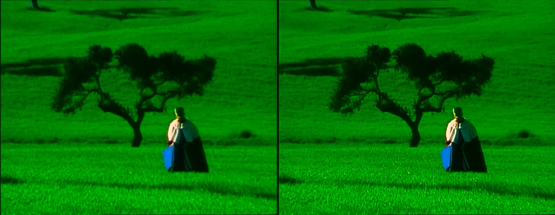 Very Impressed by Rhea for 480P - General - Topaz Community