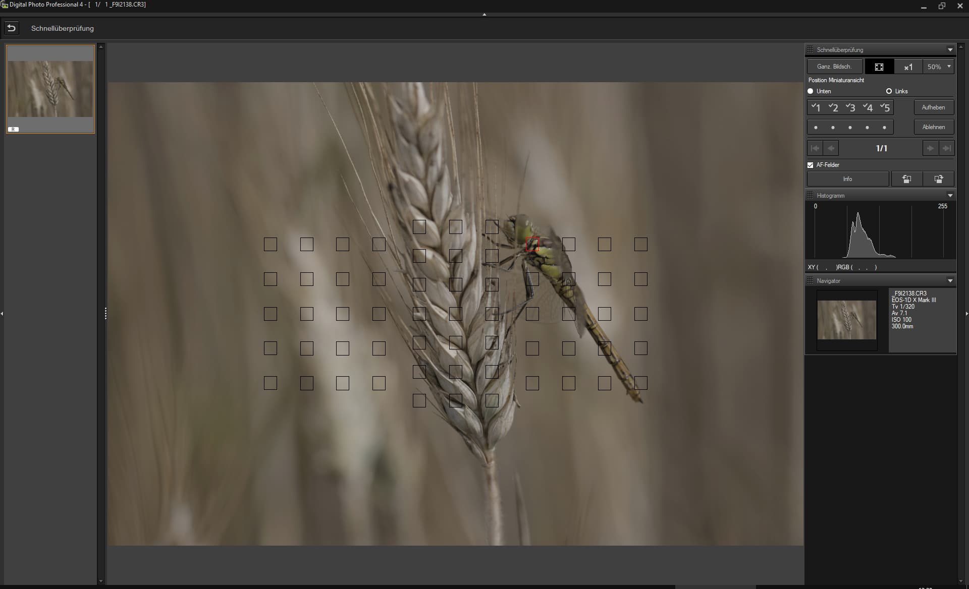 Gigapixel v5.7.3 - #207 by TPX - Releases - Topaz Community
