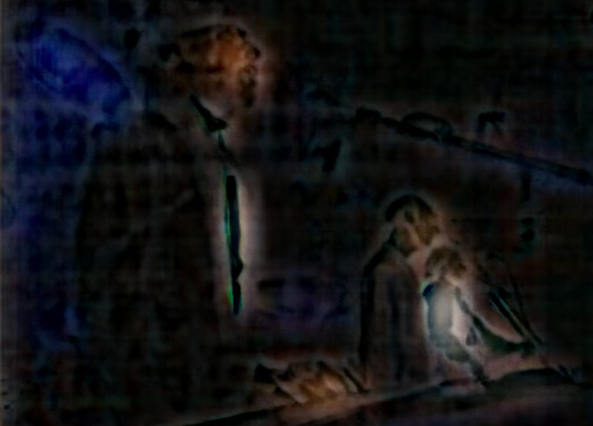 Topaz Video 1.1.1 - Releases - Topaz Community