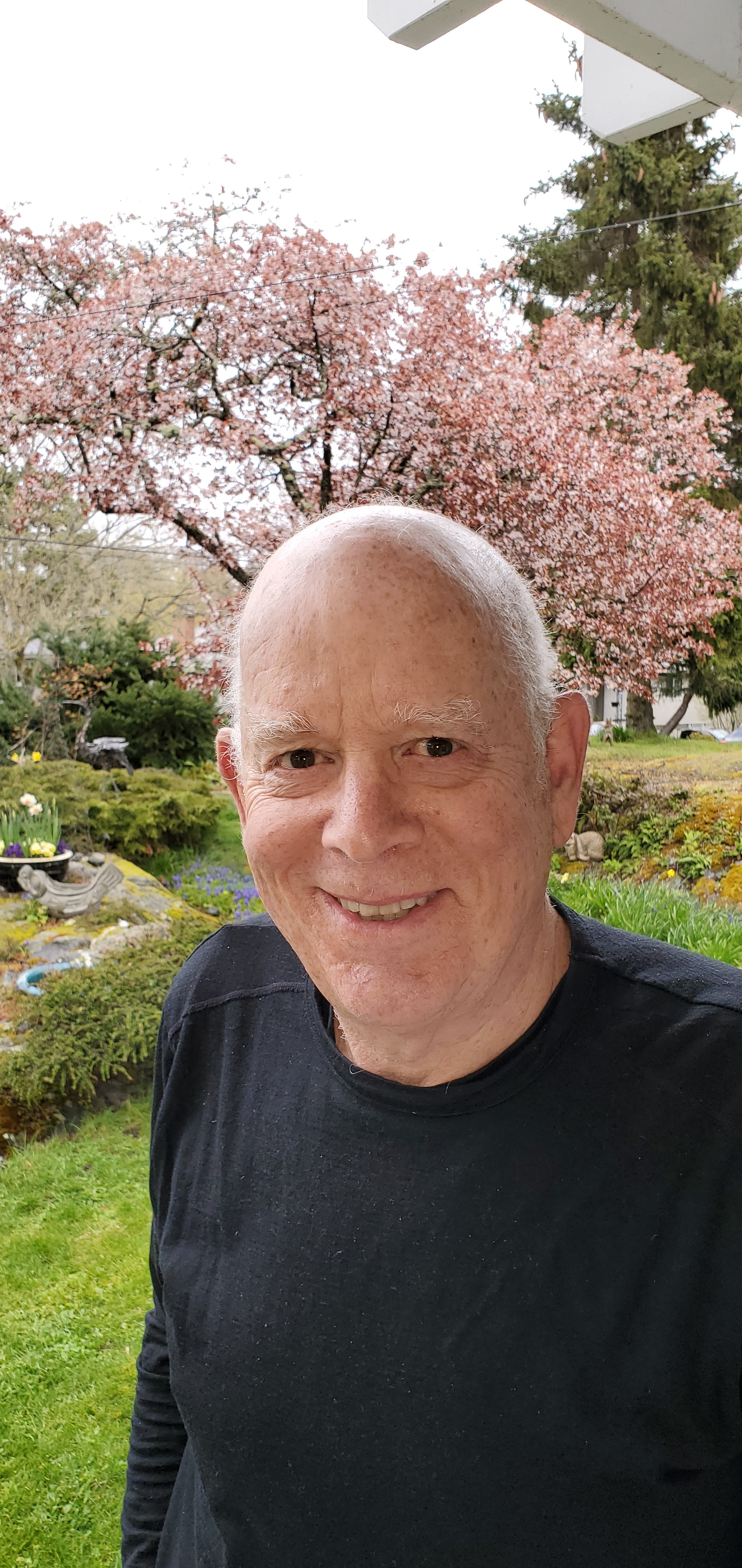 Feedback | Wonder AI: a lot of A but not much I - General - Topaz Community