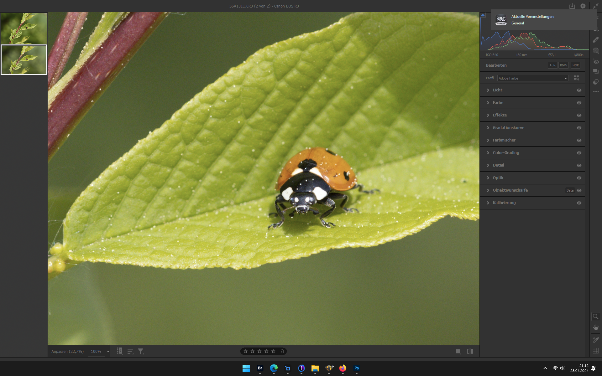 Topaz Photo AI v3.0.1 - Page 6 - Releases - Topaz Community